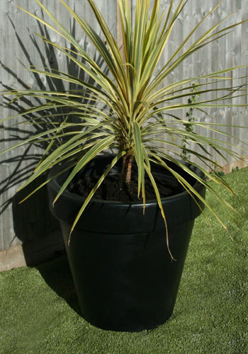 Ecosure Classic Extra Large Tree Planter in Black - Strong & Weather ...